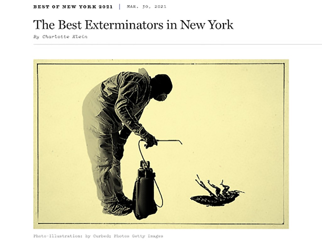 Best Exterminators in NYC - A Review | Pest Control NYC - Best Pest ...